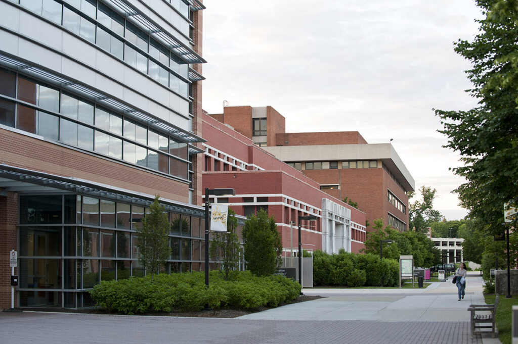 Mission & Values – Division of Professional Studies – UMBC